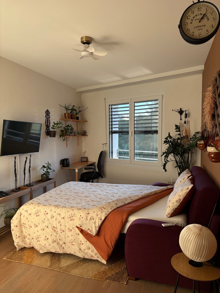 Room In A Cozy Appartment! - Carouge