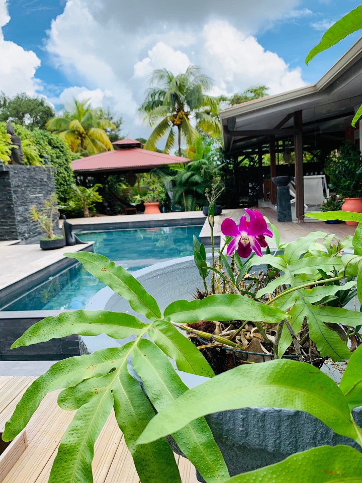 Villa Cattleya - Guyane française