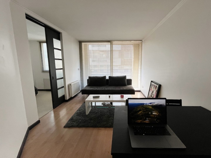 Santiago Bellas Artes Apartment - Chile