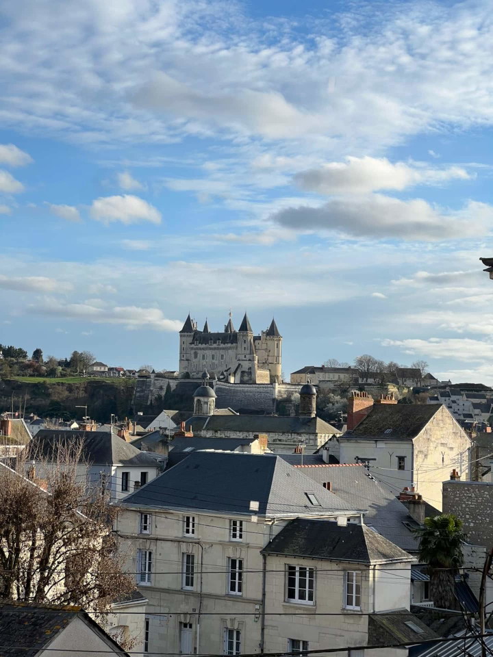 Appartement Chaleureux - Saumur
