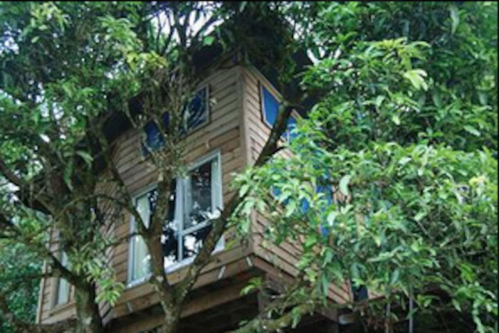 Mango Treehouse - Samoa