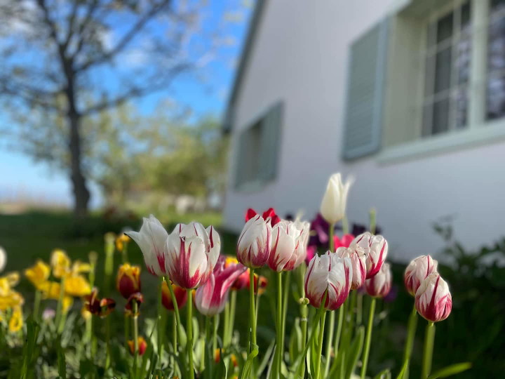 Nutcracker Guesthouse - Siófok