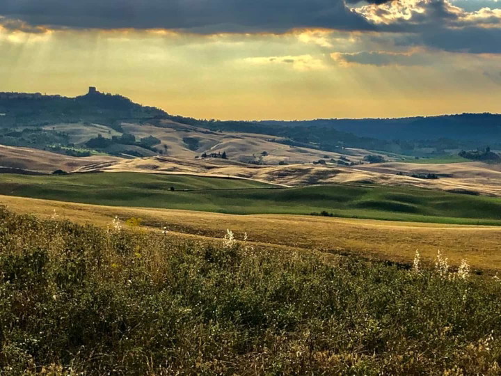 Neno's Gate - San Quirico d'Orcia