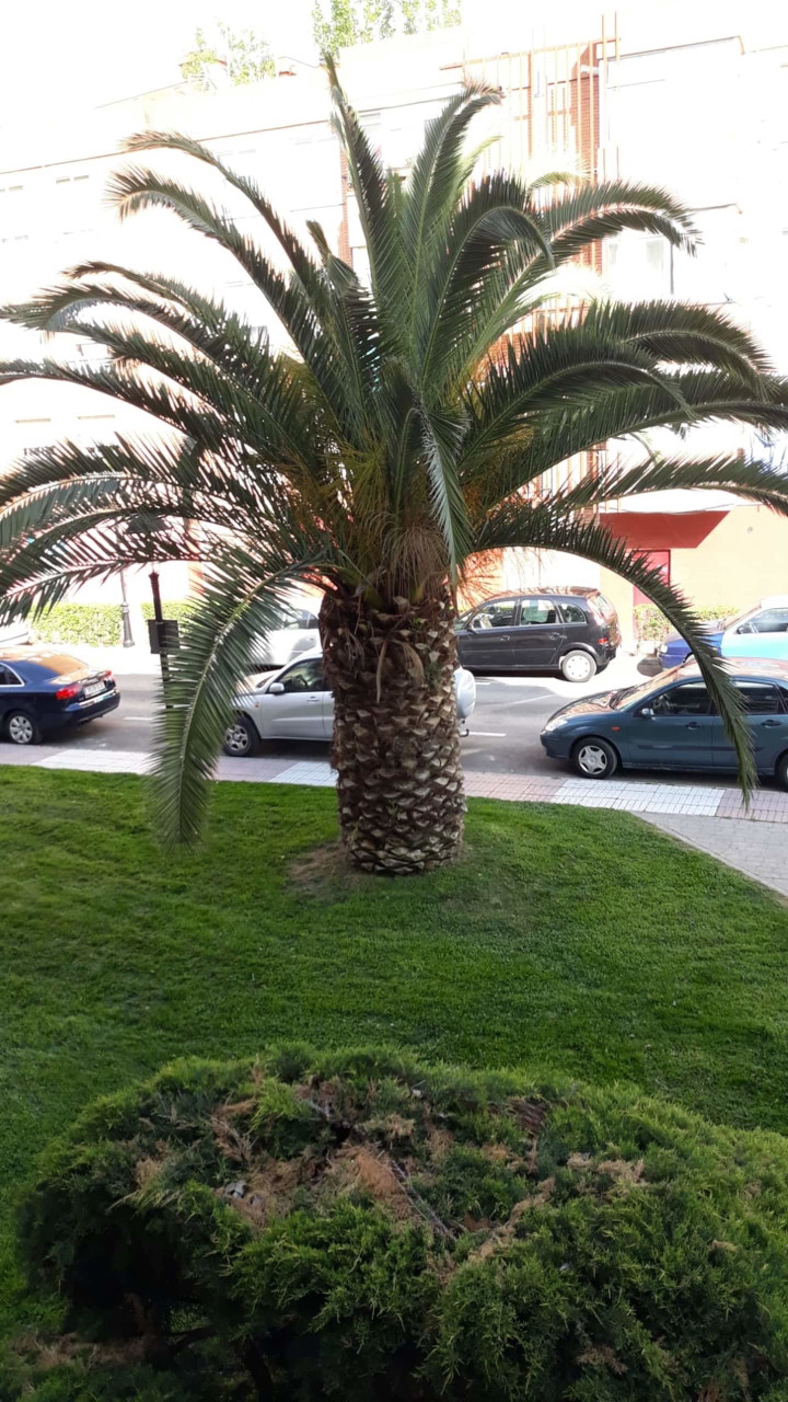 Estudio 3 Con Piscina - Getafe
