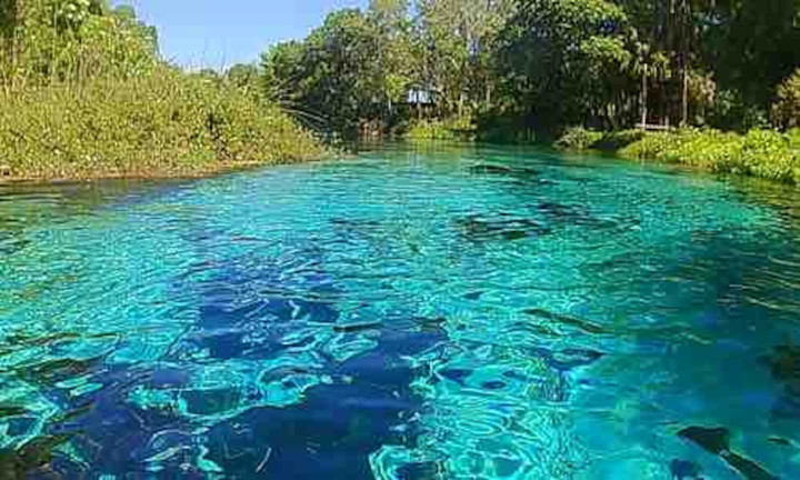 Weeki Wachee Sea Horse Bay! - Weeki Wachee, FL