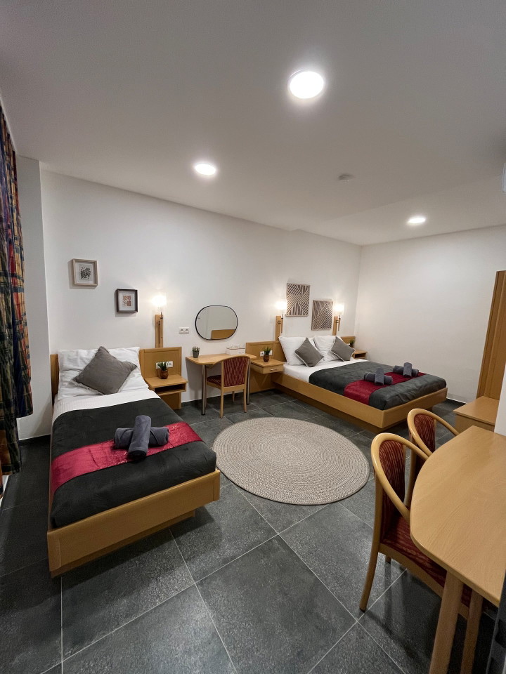 Appartement Confortable Dans Le Centre De Vienne - Vienne