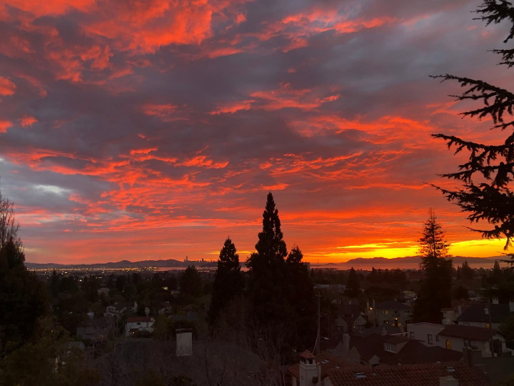 Bright, Spacious Rockridge Studio With Views - Oakland, CA