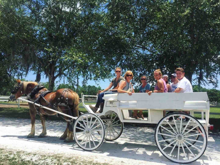 Red Gate Farms Hayloft-10 Min To Historic Savannah - 薩凡納