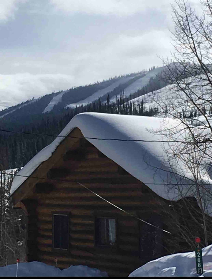 Cozy Log Home,sleeps 10. Free Shuttle,3 Min-slopes - Winter Park, CO