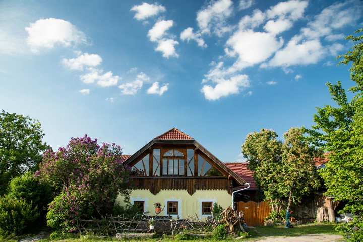 Oasis Molyvica - Ausztria