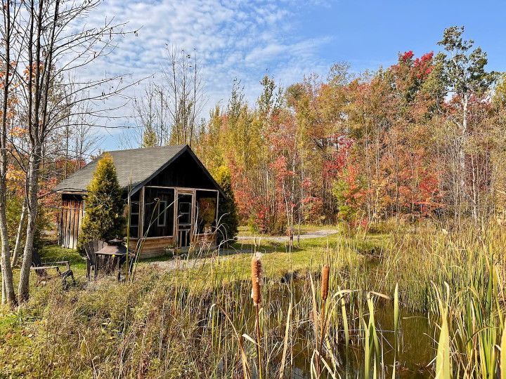 1. Fall Farm Retreat | Cozy Cabin + Animals -