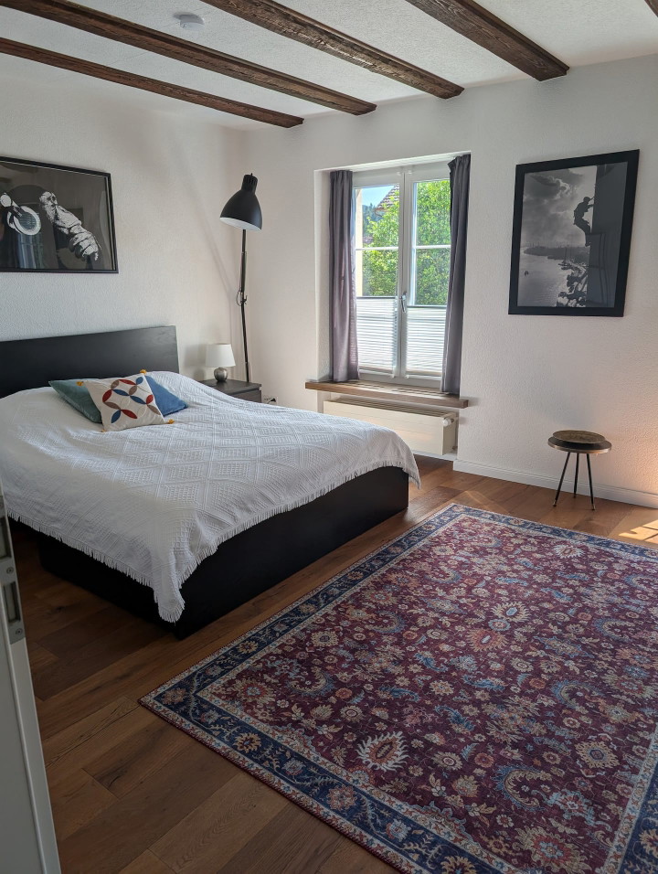 Charming 5* Apartment - Rapperswil-Jona