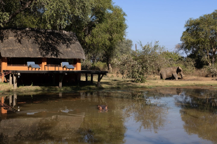 Hippo Hide, Self-catering Cabin - Zambia