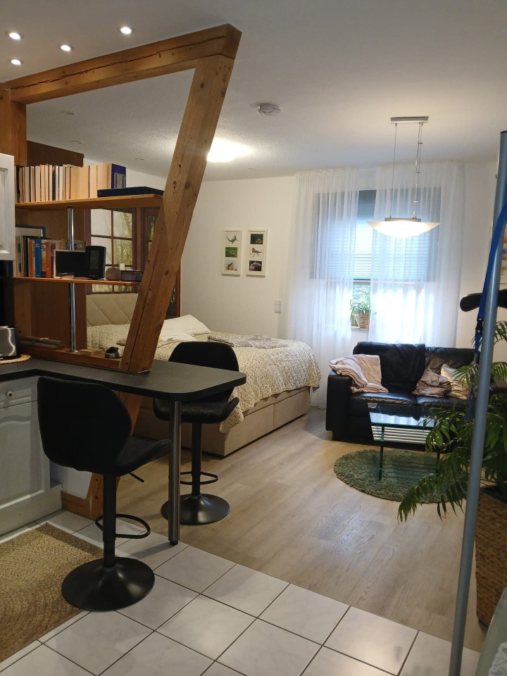 Country Apartment Near Leipzig - Saxony