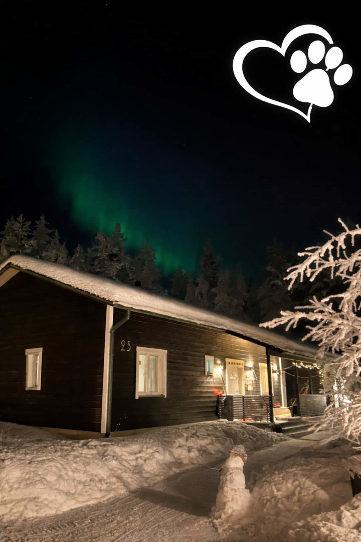 Mayas Mansion-meet Husky, Free Wifi, Parking&sleds - Rovaniemi