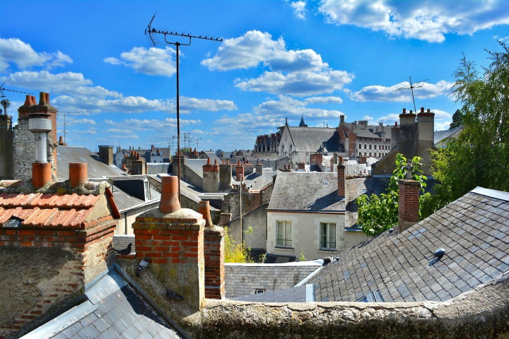 Studio Cosy, Vue Sur Le Château Et Les Toits - Blois