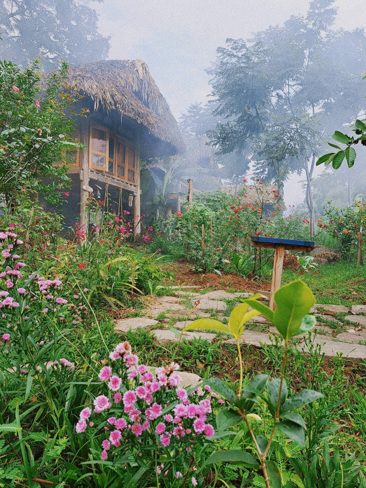 A Garden Cottage Near River, Green Mountain View - Vietnam