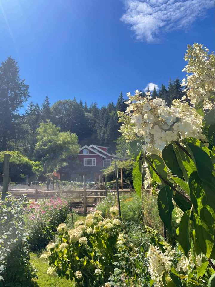 Welcome To Endswell Farm - Bowen Island