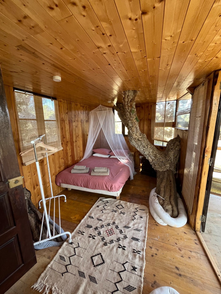 Tree House By The River - Odemira