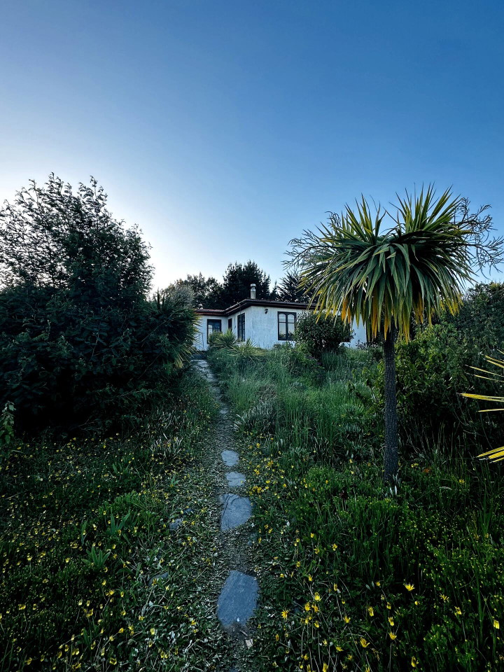 Beachfront Cabin - Cobquecura