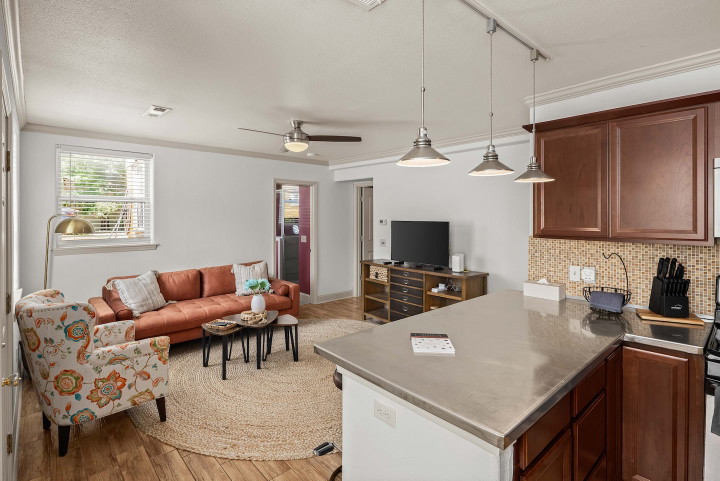 Off Dickson Downtown Bright Open Ground Floor Apt - Fayetteville, AR