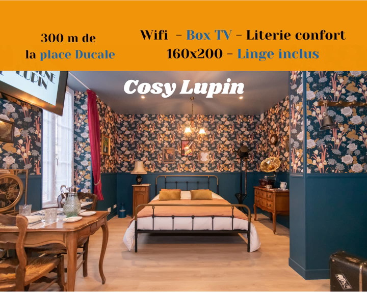 Lupin * Studio * Hyper Centre - Charleville-Mézières