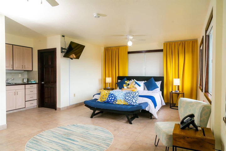 King Studio (One) -Republic Terrace Accommodations - Guyana