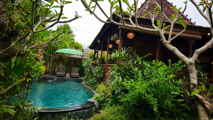 Romantic Ricefield Private Pool Villa Ubud - Endonezya