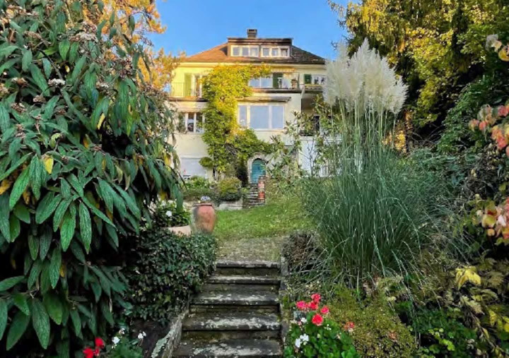 Sonniges, Großes Appartment "Laura" - Badenweiler