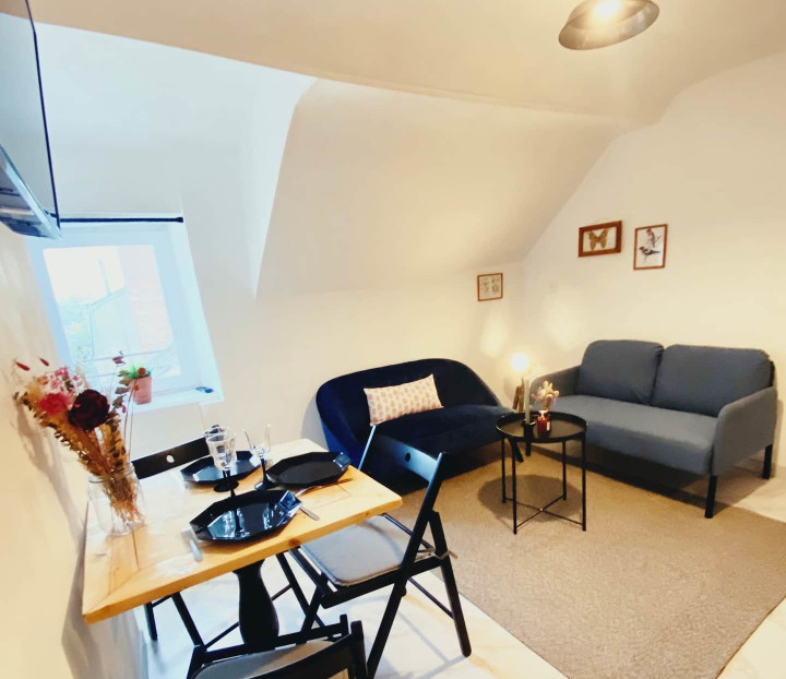 Appartement Chaleureux Au Cœur Dorléans - Orléans