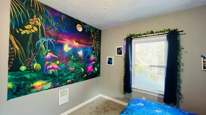 Da Disney House In Cleveland With Gameroom - Cleveland, OH