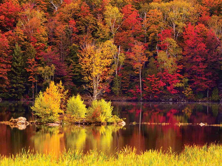 Four Seasons Slope-side Getaway At Mount Snow - Vermont