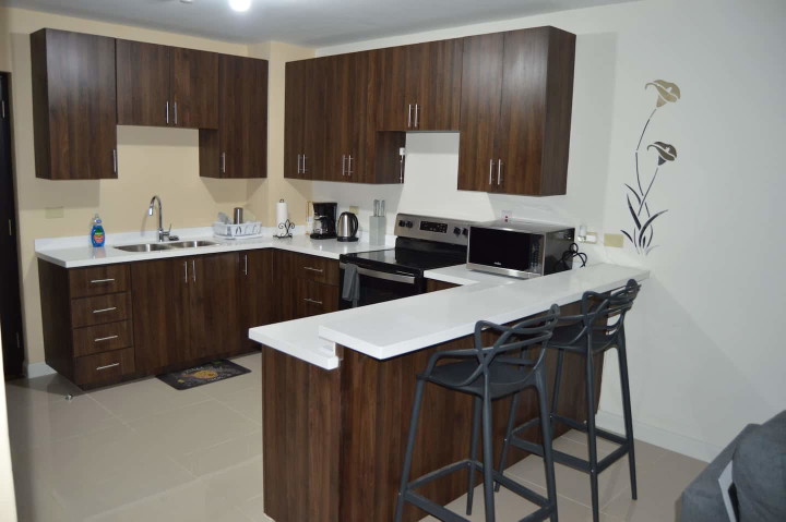 Lovely City View Apartment In Kingston - Kingston