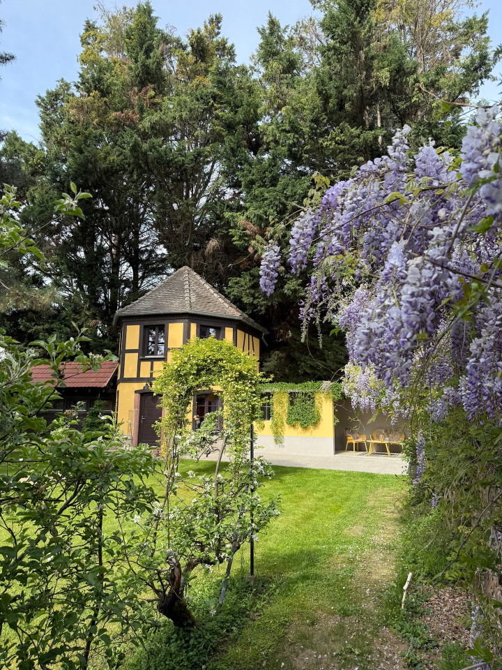 Parc Du Séquoia 4*: The Apiary Near Colmar - Colmar
