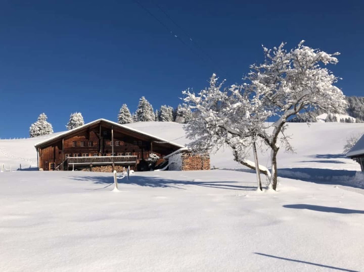 Renovated Chalet On Top Of The Picturesque Village - Rougemont