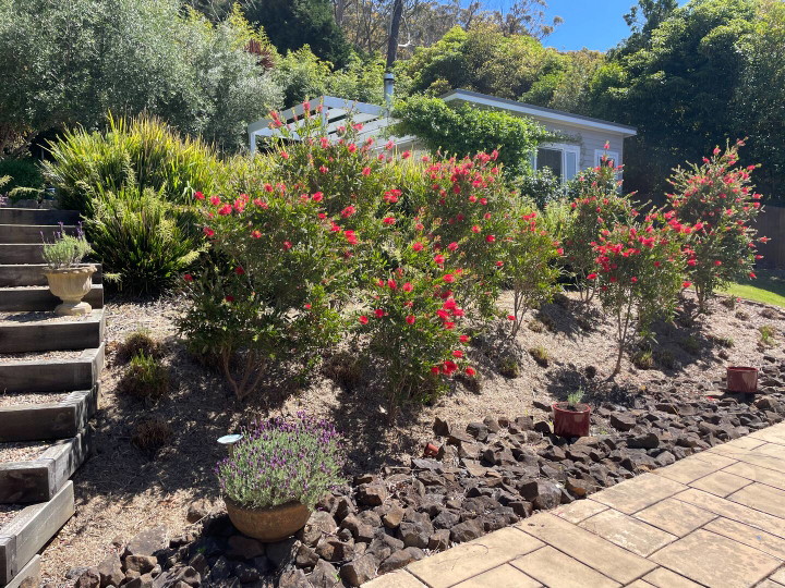 Little Ronnie's Cottage - Southern Highlands