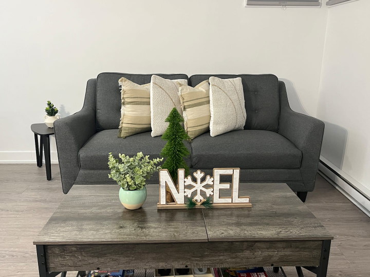 Cozy Modern Apt Near Ottawa W/ Parking, Wifi, Ac - Ottawa
