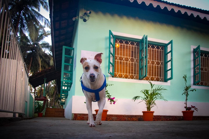 Bungalow-south Goa Portuguese Heritage Beach Villa - Goa