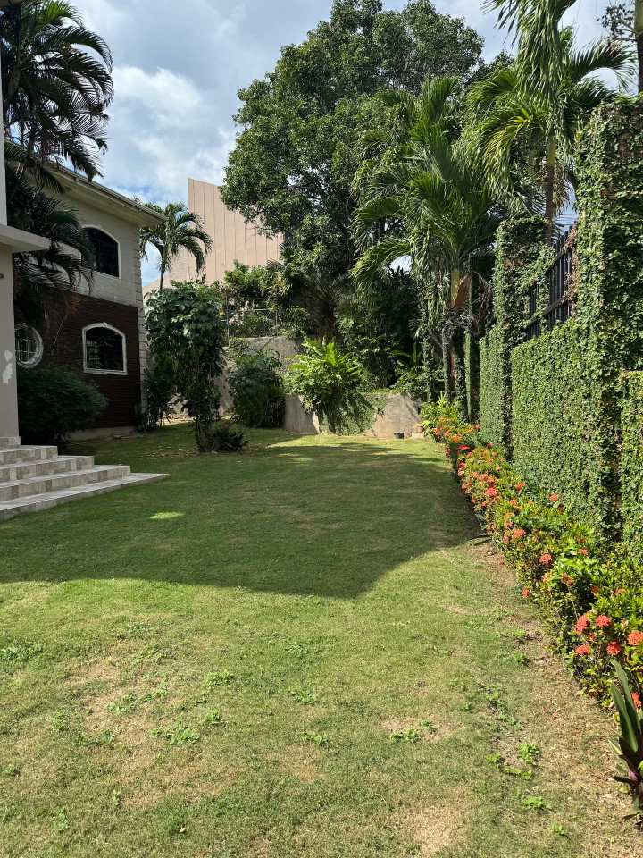 Xxya Modern Art Villa - Jamaica