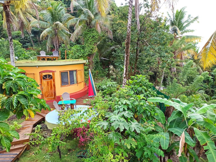 Mother Nature - Port Antonio