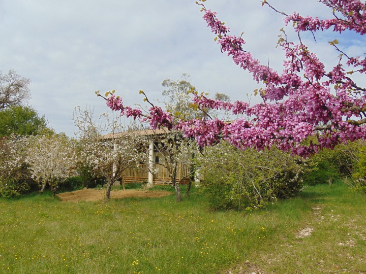 Trakteer Uzelf Op Een Sublieme Ontsnapping In Het Mooie Dorpje Faudoas. - Occitanie