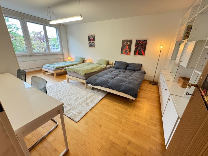 Familienfreundliches Zimmer In Grosser Wohnung - Bâle