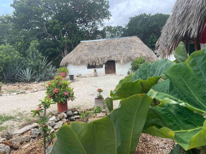 Centro Ecoturistico Xuux Eek - Campeche
