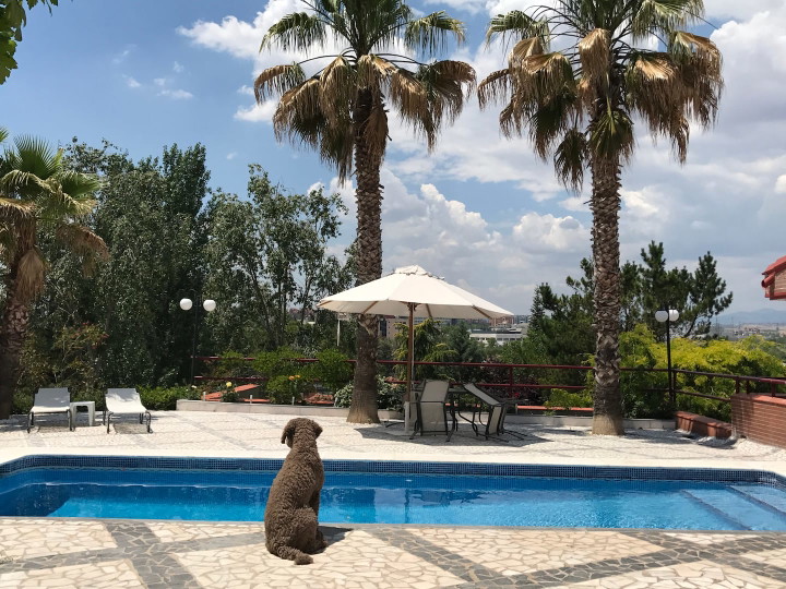 Ethnic Penthouse Apartment - Tres Cantos