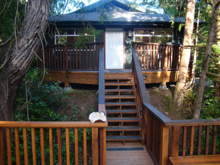 Forest View Cabin Private Sauna By Cox Bay Beach - Tofino