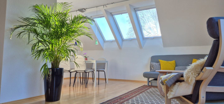 Gemütliche, Naturnahe Wohnung - Brunswick