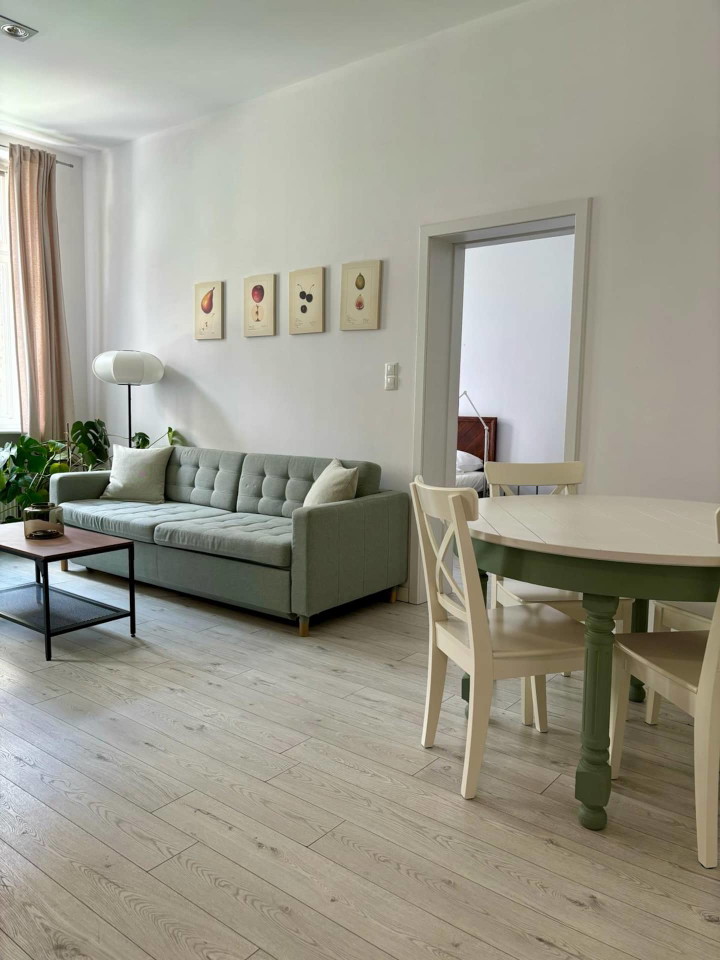 Przestronny Apartament W Centrum (4) - Poznan