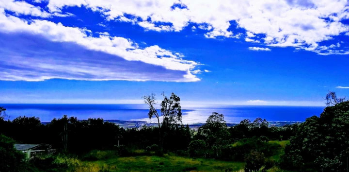 Zen Orchid Retreat, Amazing View, Fresh Fruit! :) - Kailua-Kona, HI