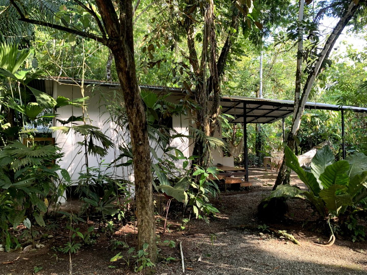 Rooted In Love Rainforest Casita Corcovado - Costa Rica