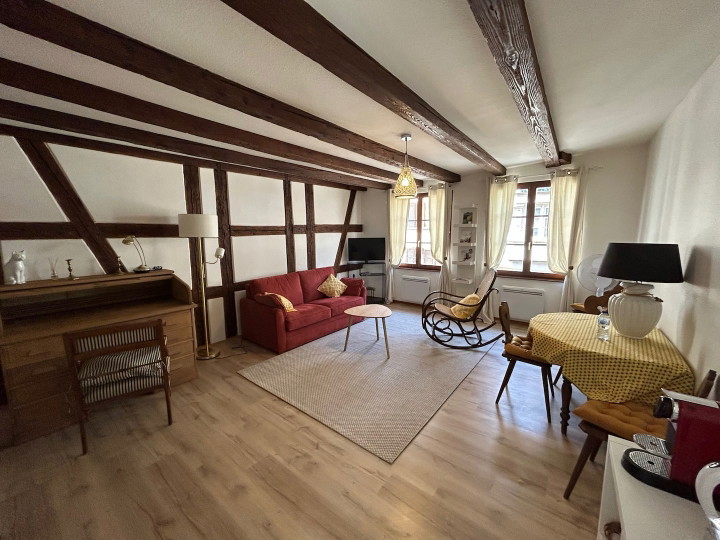 Nice Cozy Two-room Apartment. - Strasbourg